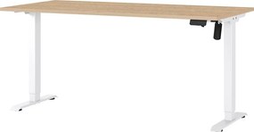 Polohovací pracovní stůl s elektricky nastavitelnou výškou s deskou v dubovém dekoru 80x160 cm Boras – Germania