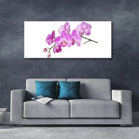 Plexisklo-obraz Vstavač Orchidej Květiny 125x50 cm