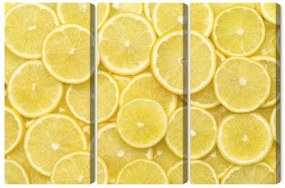 Vícedílný obraz Plátky Citronu Nedostatek Nedostatek Přírodní plátno 150x100