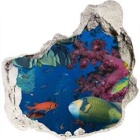 Wallmuralia Díra 3D fototapeta na stěnu Korálový útes 75x75 cm