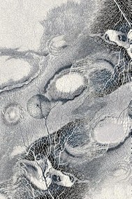 Kusový koberec Bellona světle šedý 100 x 180 cm