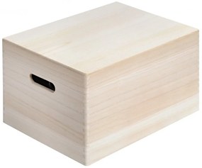 Víceúčelový úložný box s víkem, 39 x 29 x 23 cm