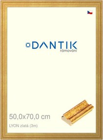DANTIK rámeček 50x70 | LYON zlatá (Plexi Čiré)