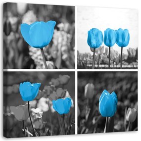 Obraz na plátně Sada modrých tulipánů - 60x60 cm