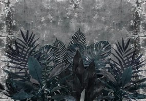 Fototapeta - Rostliny v temnu (245x170 cm)