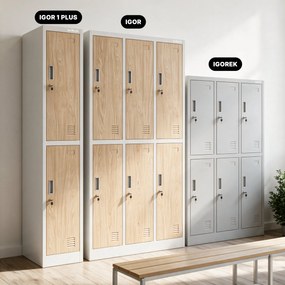 Šatní skříňka BHP, zaměstnanecká, jednotlivá, 2 schránky s tyčí, bílá/dub sonoma, 316,5x1850x450 mm: IGOR 1 Plus Eco Design