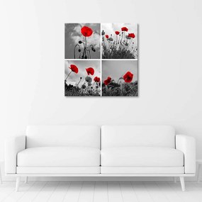 Gario Obraz na plátně Červené máky Rozměry: 30 x 30 cm