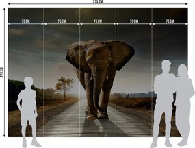 Fototapeta na míru Král Slonů | Vliesová fototapeta na zed' | DFTNXXL0438