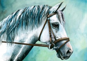 Obraz Bílý Kůň Jak Maloval Nedostatek Nedostatek Plátno Canvas 100x70