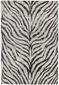 Šedý  koberec Dinamo Zebra Grey Rozměry: 160x230 cm