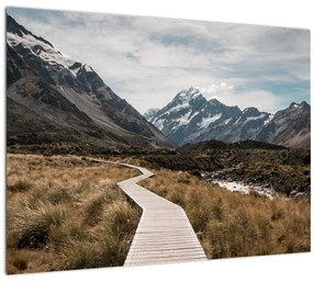 Obraz - Chodník v údolí hory Mt. Cook (70x50 cm)