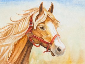 Obraz Kůň Malovaný Akvarelem Nedostatek Nedostatek Plátno Canvas 30x20