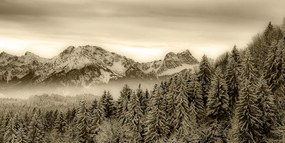 Obraz zamrzlé hory v sépiovém provedení Varianta: 100x50