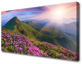 Obraz na plátně Hory Louka Květiny Krajina 140x70 cm