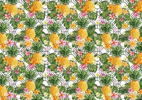 Fototapeta - Ananas (152,5x104 cm)