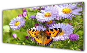 akrylový obraz Květiny Motýl Příroda 125x50 cm