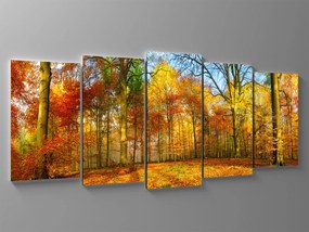 Liox Obraz barevný podzim Rozměr: 250 x 110 cm