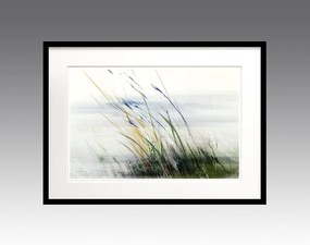 Elegantní grafika s travinami do moderního interiéru Trávy, Vodní Série | Anna Borkowska