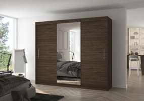 ADRK Furniture Posuvná skříň s zrcadlem DENIS 250 SW-DEN-CH-250+A427
