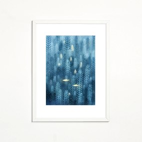 Linh Dao | Ryby Rám: Dubový, Velikost: 30 x 20 cm