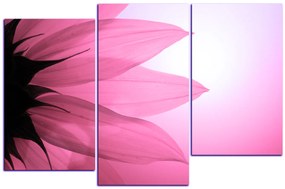 Obraz na plátně - Slunečnice květ 1201VD (150x100 cm)