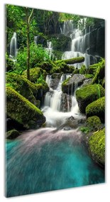 Wallmuralia Vertikální Fotoobraz na skle Vodopád v džungli 50x100