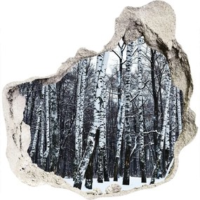 Wallmuralia Nálepka fototapeta 3D výhled Břízy zima 75x75 cm