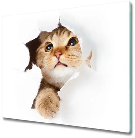 Skleněná krájecí deska Kočka v díře 60x52 cm