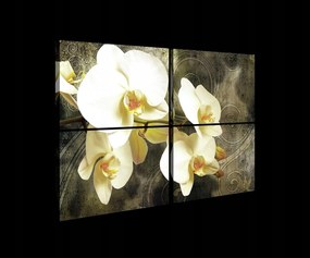 Obraz 120x80 Bílé Orchideje modulární květiny příroda elegance dekorace