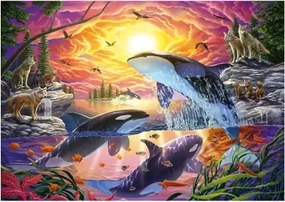 EDUCA Puzzle Kosatky a vlci / 4000 dílků