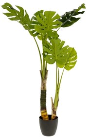 Umělá květina Kave Home Monstera 130 cm