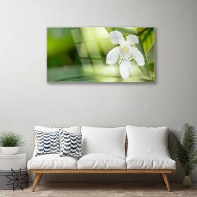 akrylový obraz Květ Listy 100x50 cm