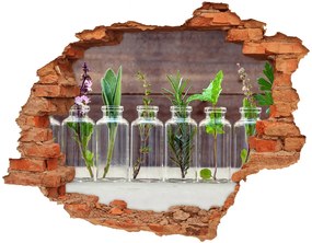 Wallmuralia Samolepící nálepka Rostliny ve sklenicích 90x70 cm