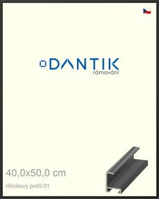 DANTIK rámeček 40x50 | ALU profil 6001 Černá matná (Plexi Čiré)