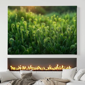 Obraz na plátně - Když se příroda vykrůcá FeelHappy.cz Velikost obrazu: 150 x 100 cm