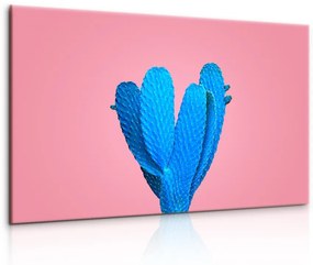 Obraz modrý kaktus s růžovým pozadí