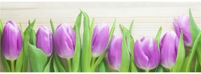Fototapeta samolepící do kuchyně - Tulipány fialové