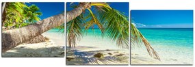 Obraz na plátně - Pláž s palmami - panoráma 584D (90x30 cm)