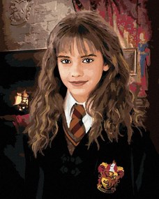 zuty zuty - malování podle čísel - hermiona portrét (harry potter), 40x50 cm, plátno