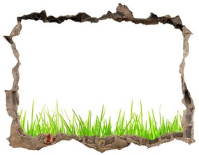 Wallmuralia Samolepící nálepka Díra cihla tráva 95x64 cm