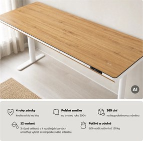 Elektrický psací stůl sit-stand se zásuvkou a bezdrátovou nabíječkou Qi bílý/zlatý dub, 1600 mm: ELLIS