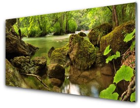 akrylový obraz Skála Jezero Příroda 125x50 cm