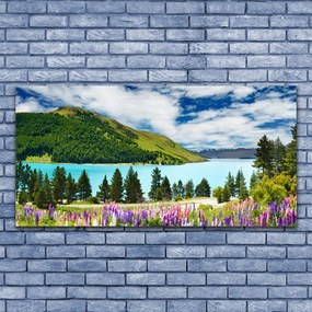 akrylový obraz Hora Les Jezero Krajina 120x60 cm