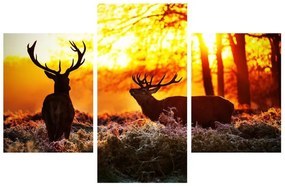 Obraz jelenů (90x60 cm)