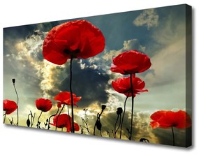 Obraz na plátně Máky Květiny Příroda 120x60 cm