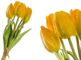 Kytice žlutých tulipánů malá BU04059