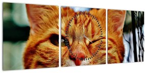 Obraz mrkající kočky (s hodinami) (90x30 cm)