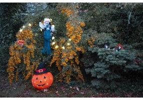 Retlux - LED Venkovní dekorace HALLOWEEN LED/3xAA/teplá bílá IP44 dýně