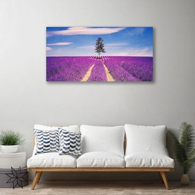 Obraz na plátně Pole Levandule Louka Strom 100x50 cm