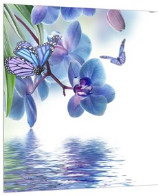 Obraz motýla na květech orchideje (30x30 cm)